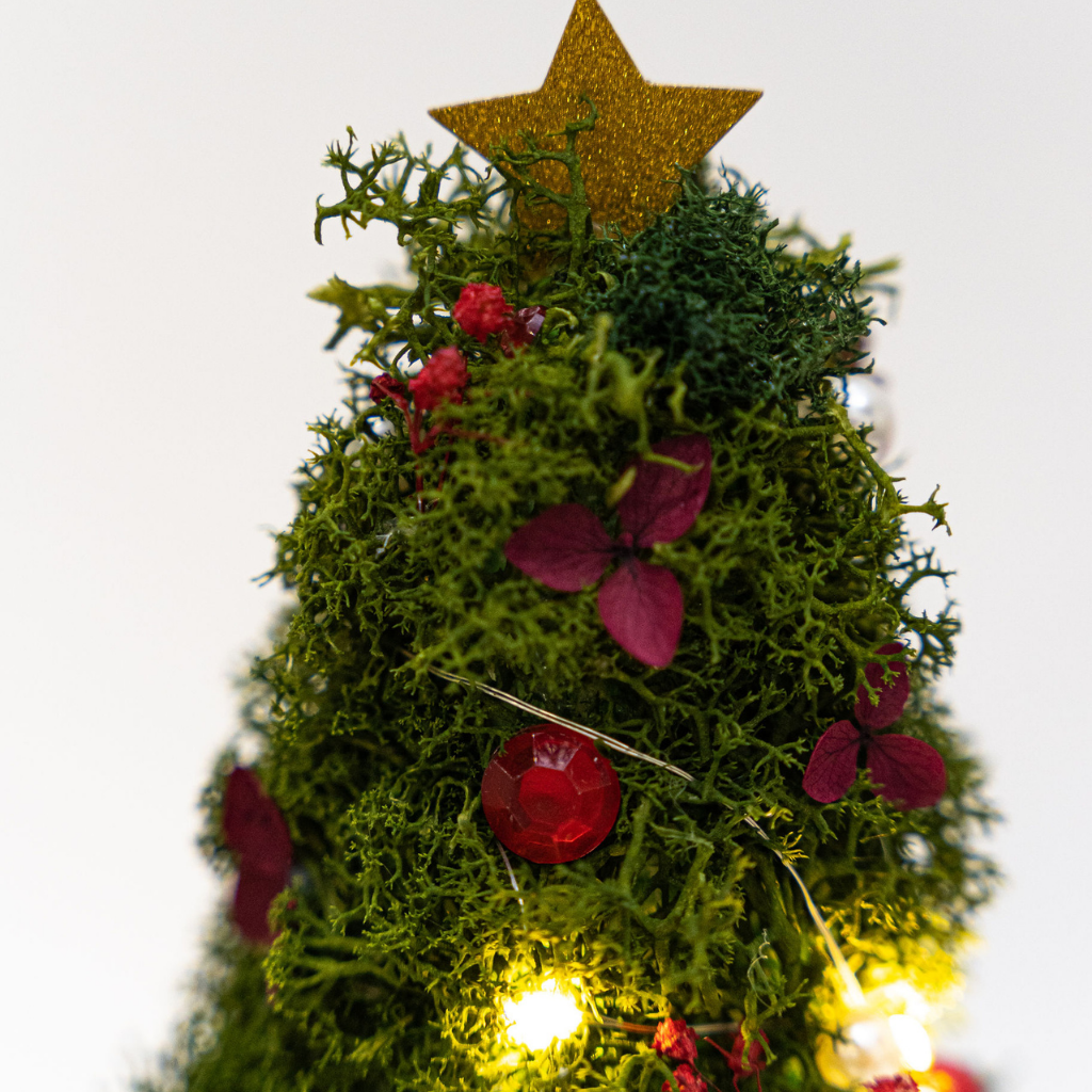 Endless Holiday – Endless Roses